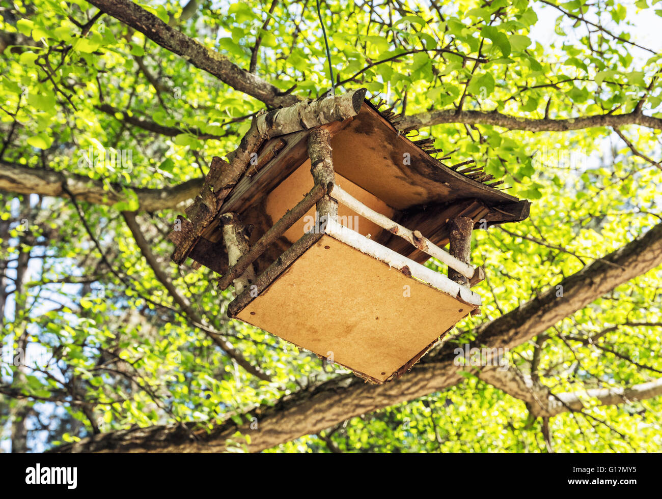 Wooden bird house hanging on the green tree. Seasonal natural scene ...