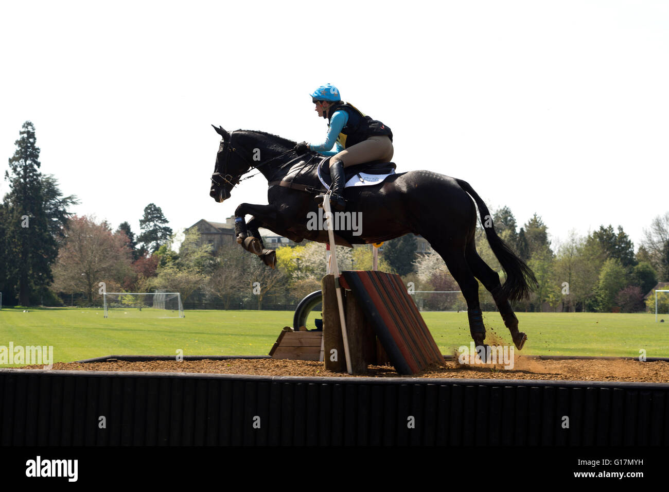 Eventing Horse Silhouette