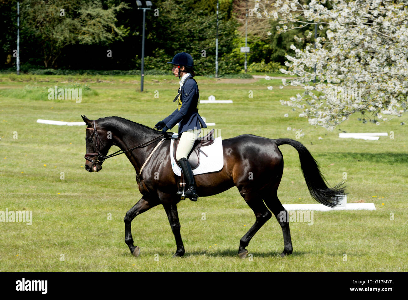 Dressage horse competition hi-res stock photography and images - Alamy