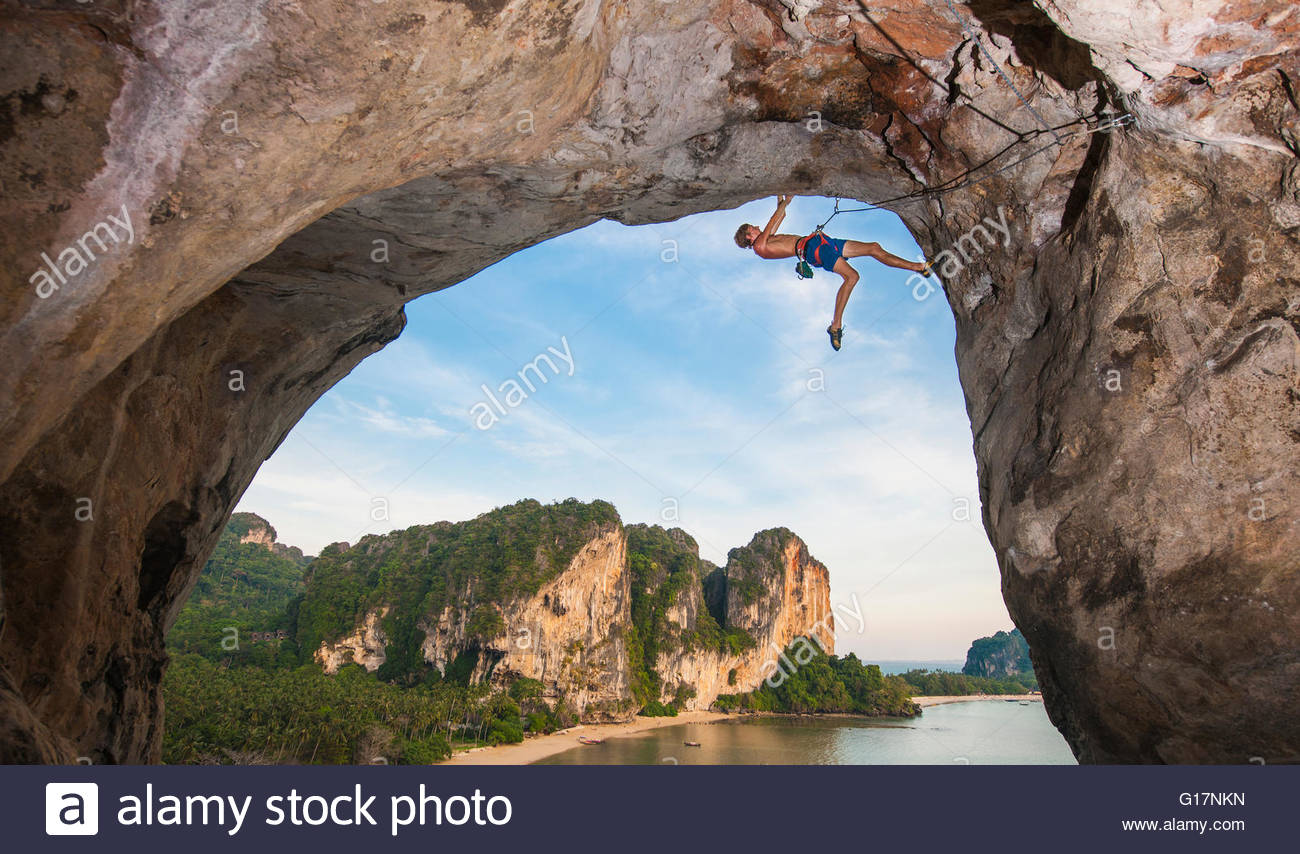 Tonsai Stock Photos & Tonsai Stock Images - Alamy