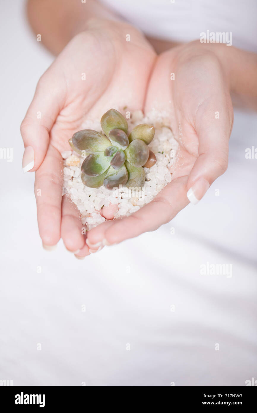 womans cupped hands Stock Photo - Alamy