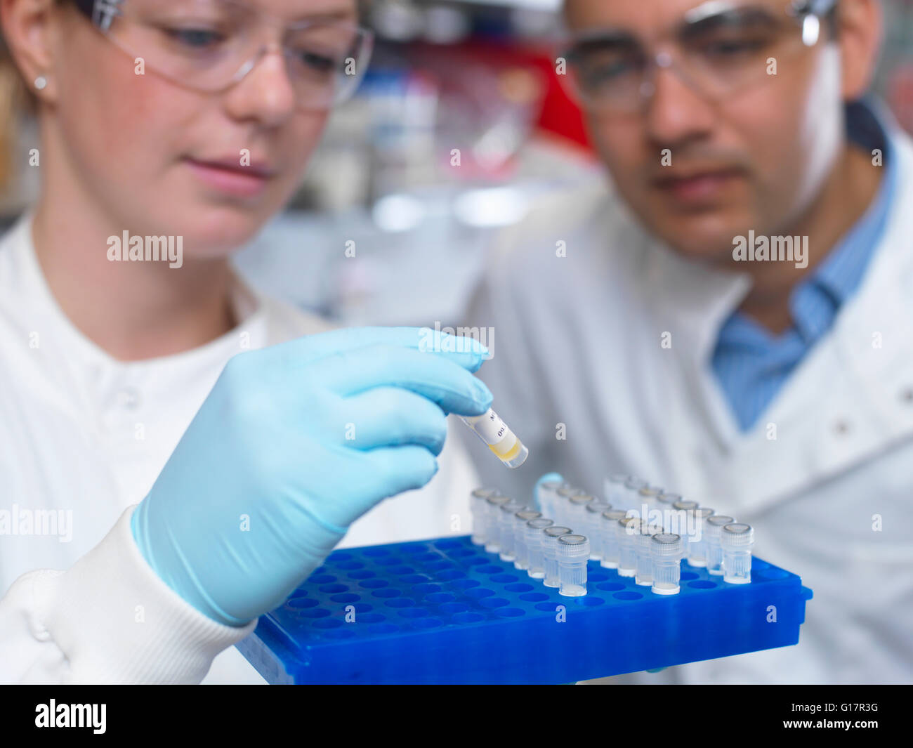 Scientists preparing to analyse samples from clinical trial, Jenner ...