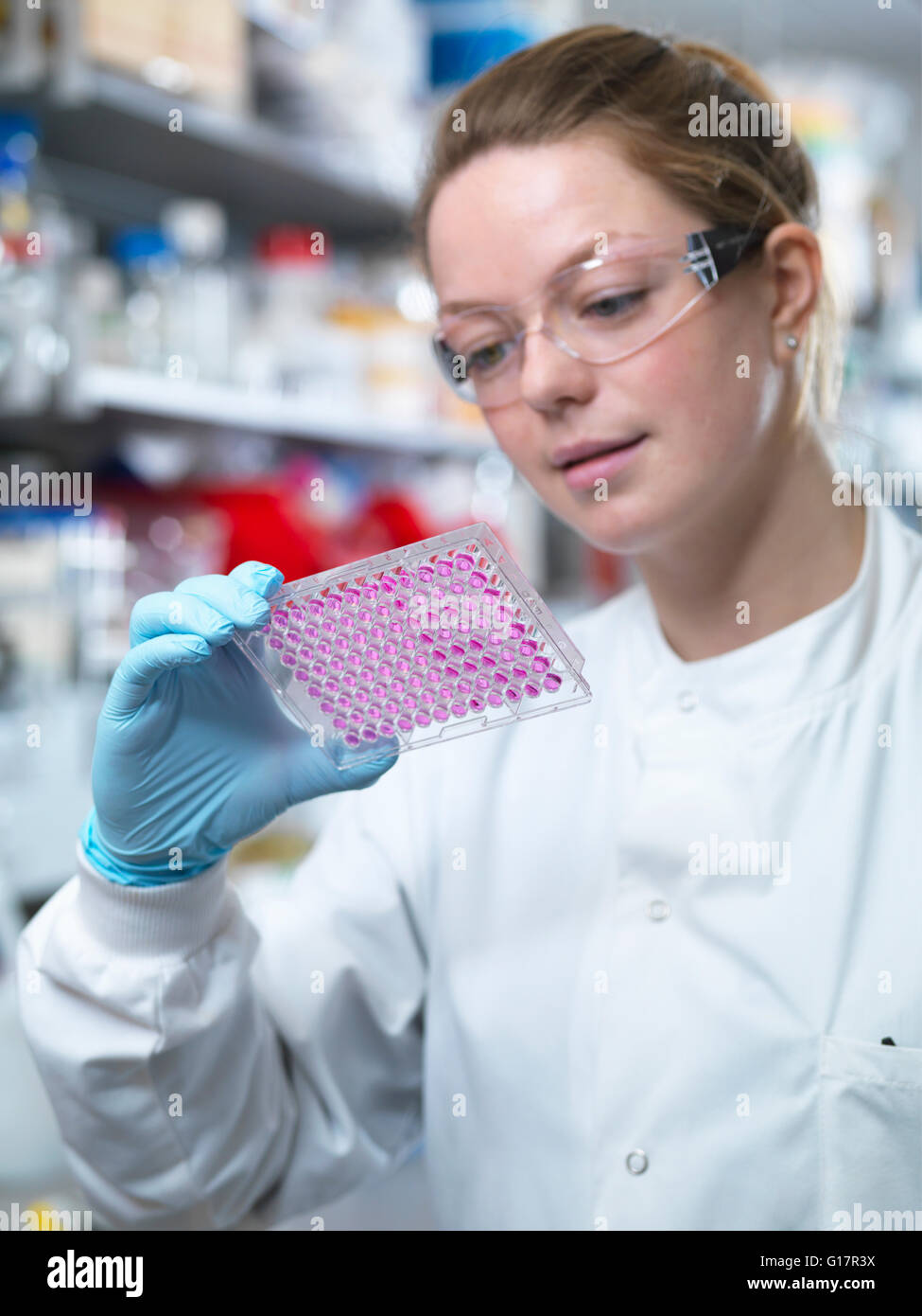 Jenner institute lab hi-res stock photography and images - Alamy