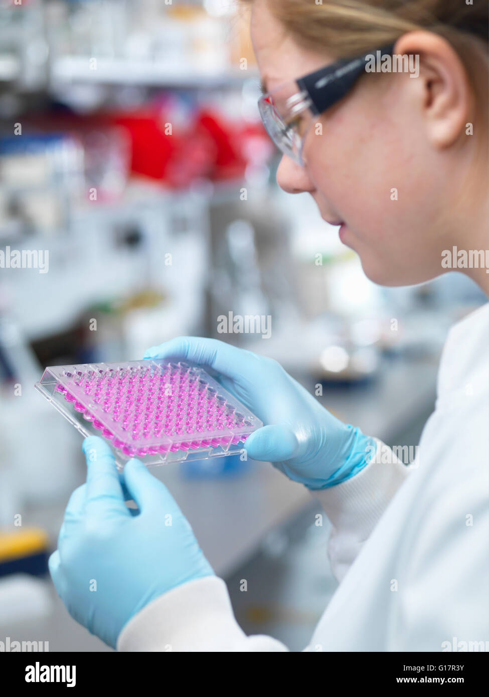 Jenner institute lab hi-res stock photography and images - Alamy