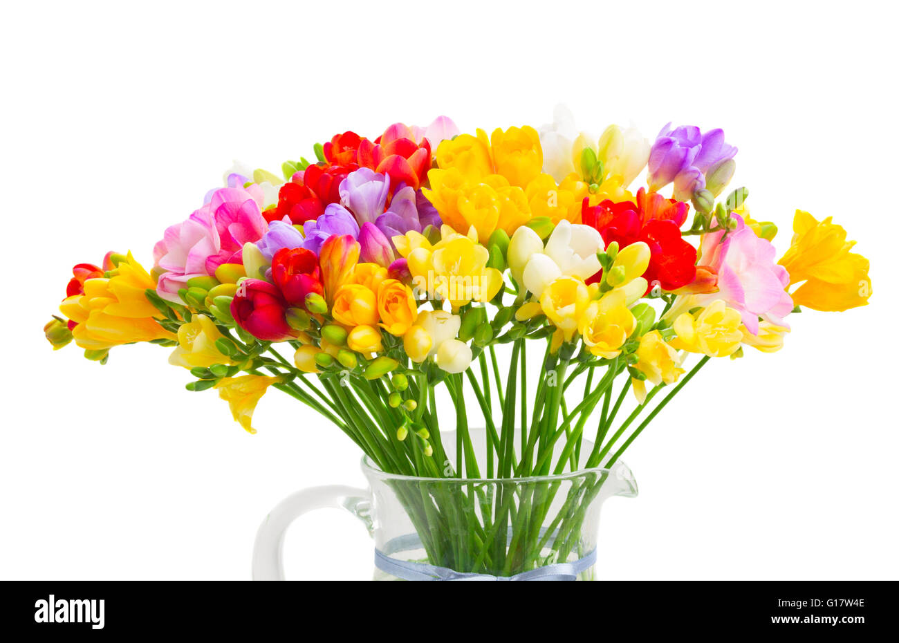 Freesias pot hi-res stock photography and images - Alamy