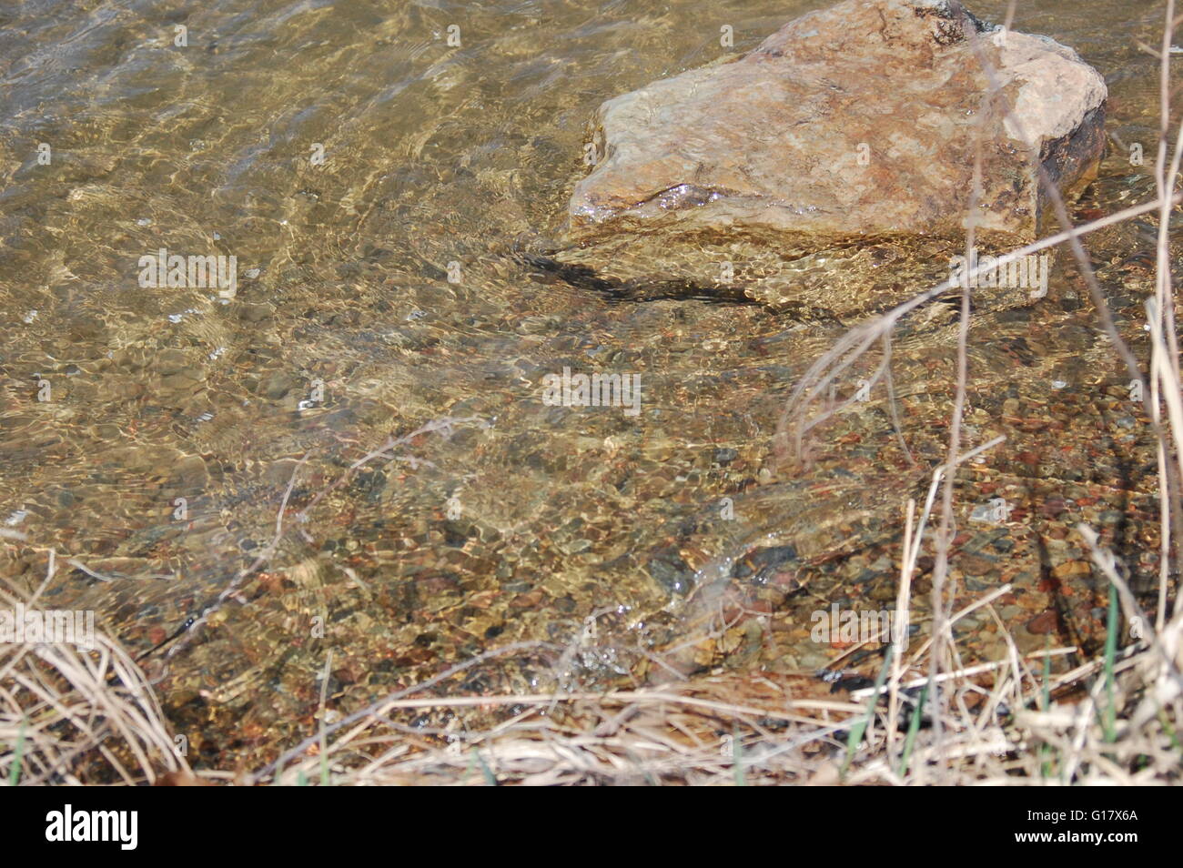 Ripples on lake water, spring time in Pennsylvania Stock Photo - Alamy