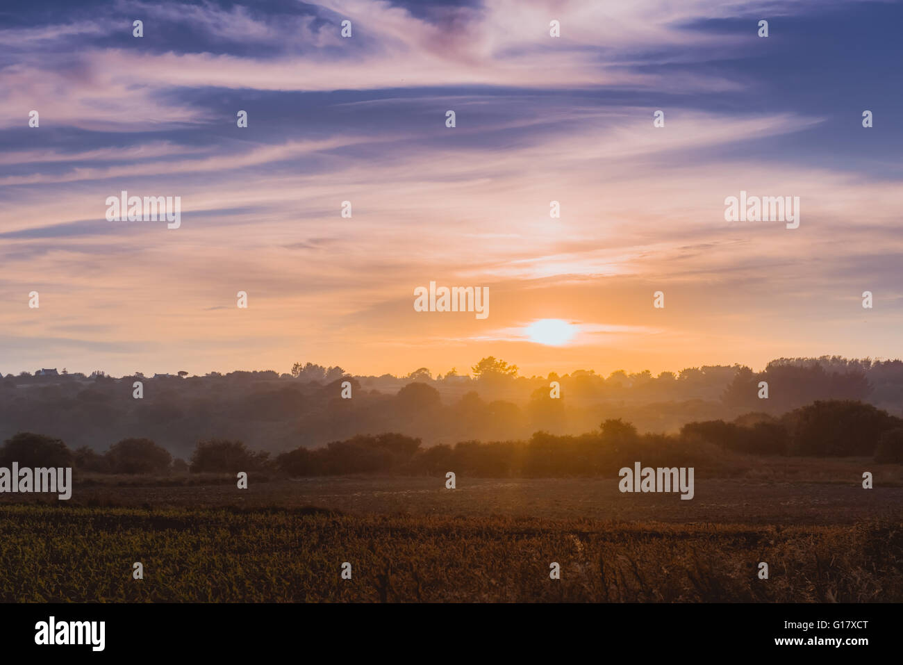 green field and beautiful sunset Stock Photo - Alamy