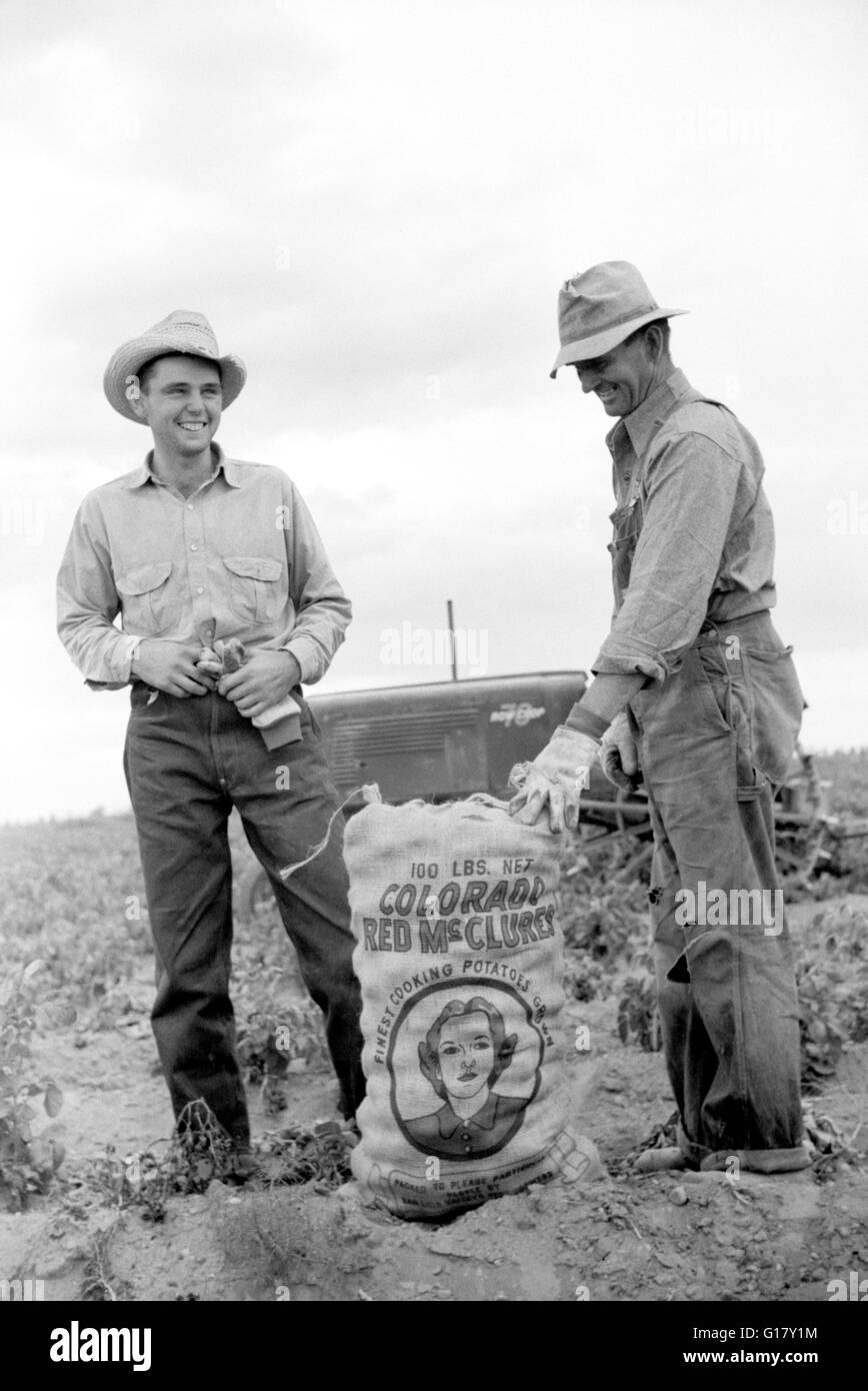 Farmer and Son with Sack of Potatoes, Rio Grande County, Colorado, USA ...