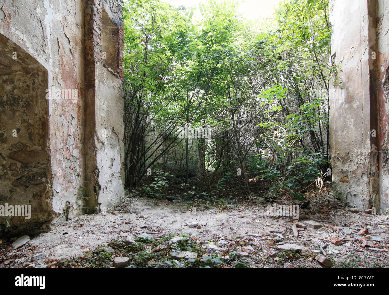Interior of ruins of the church of Church of Saint Gallus from 1733 ...