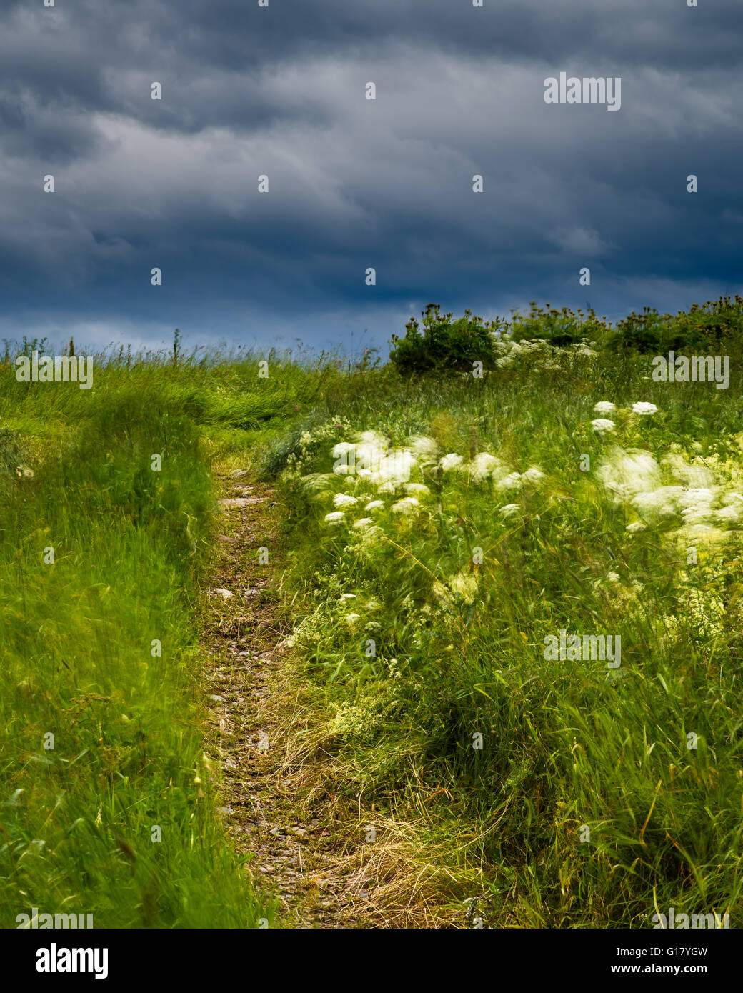 Swedish storm hi-res stock photography and images - Alamy
