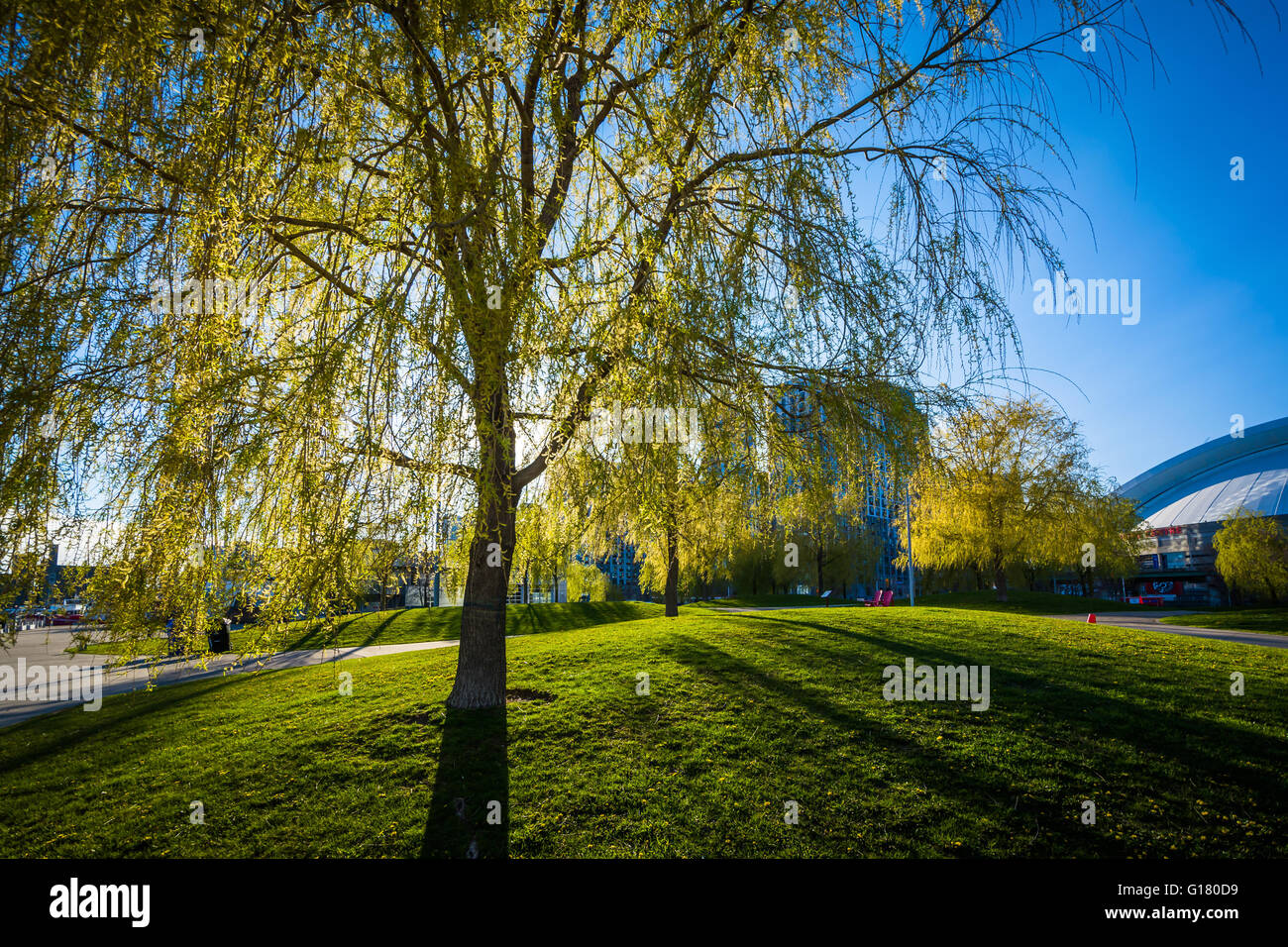 Spring in downtown toronto hi-res stock photography and images - Alamy