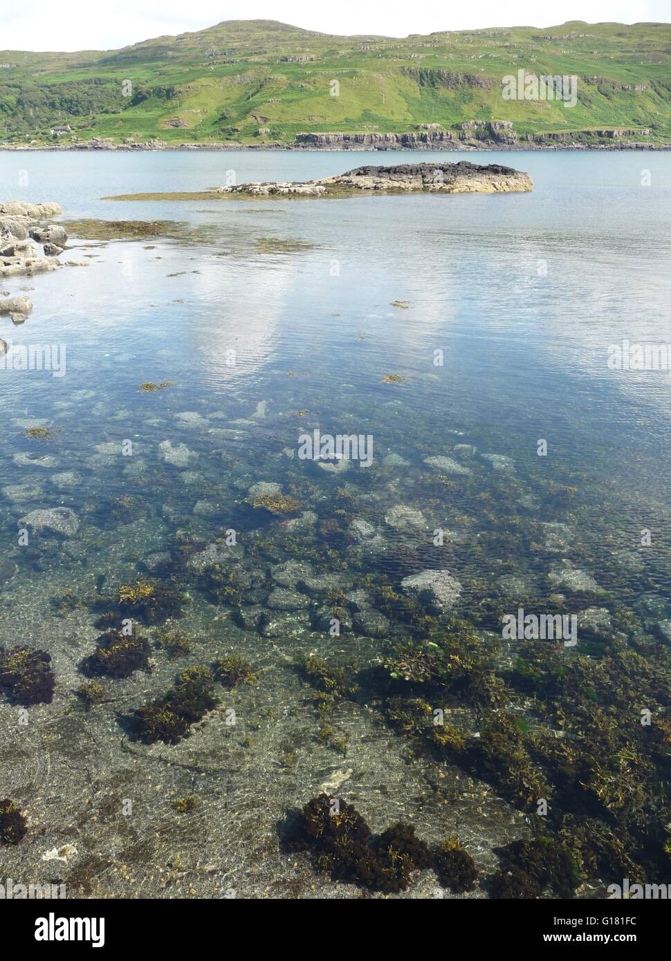 View across Calgary bay, Isle of Mull, Scotland with rocks and seaweed ...