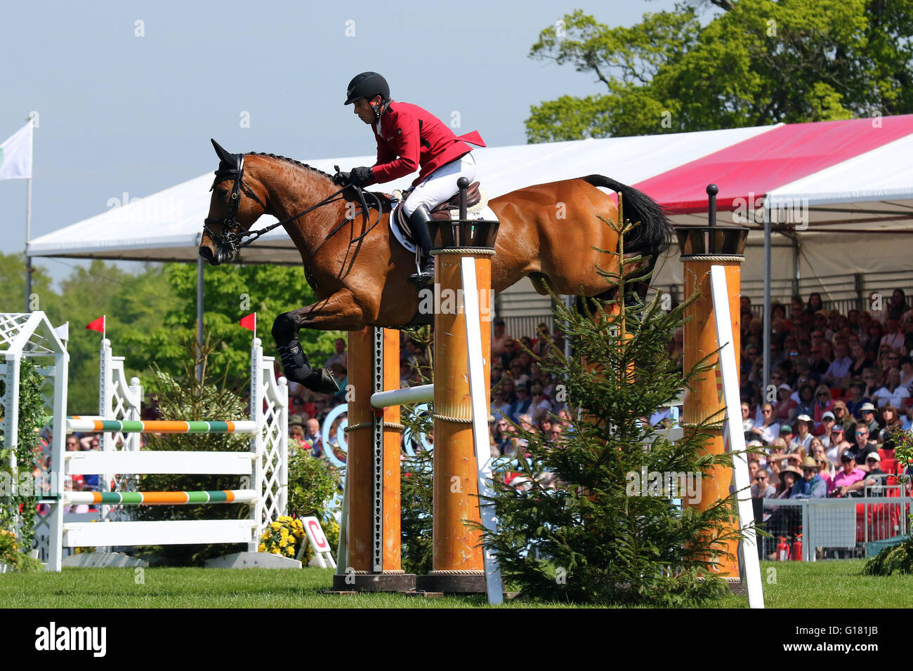Sam Griffiths (Australia) on Paulank Brockagh show jumping in the final ...