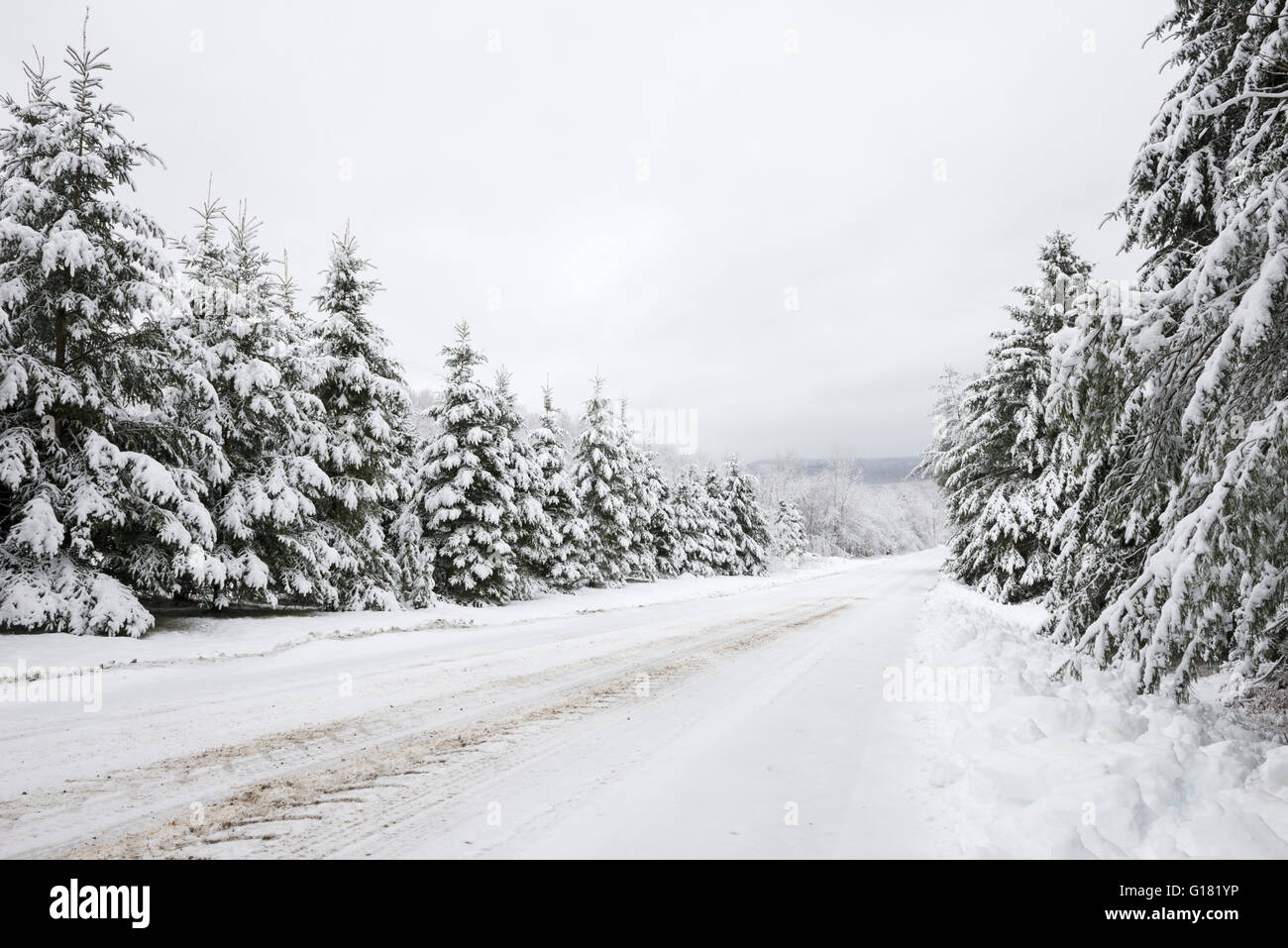 Snow cover road hi-res stock photography and images - Alamy