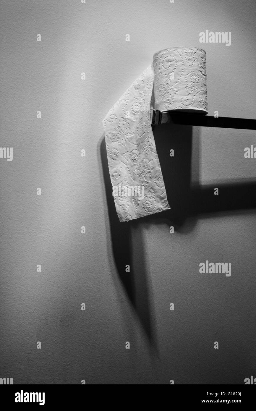 Toilet Paper and Shadow Still Life Stock Photo - Alamy