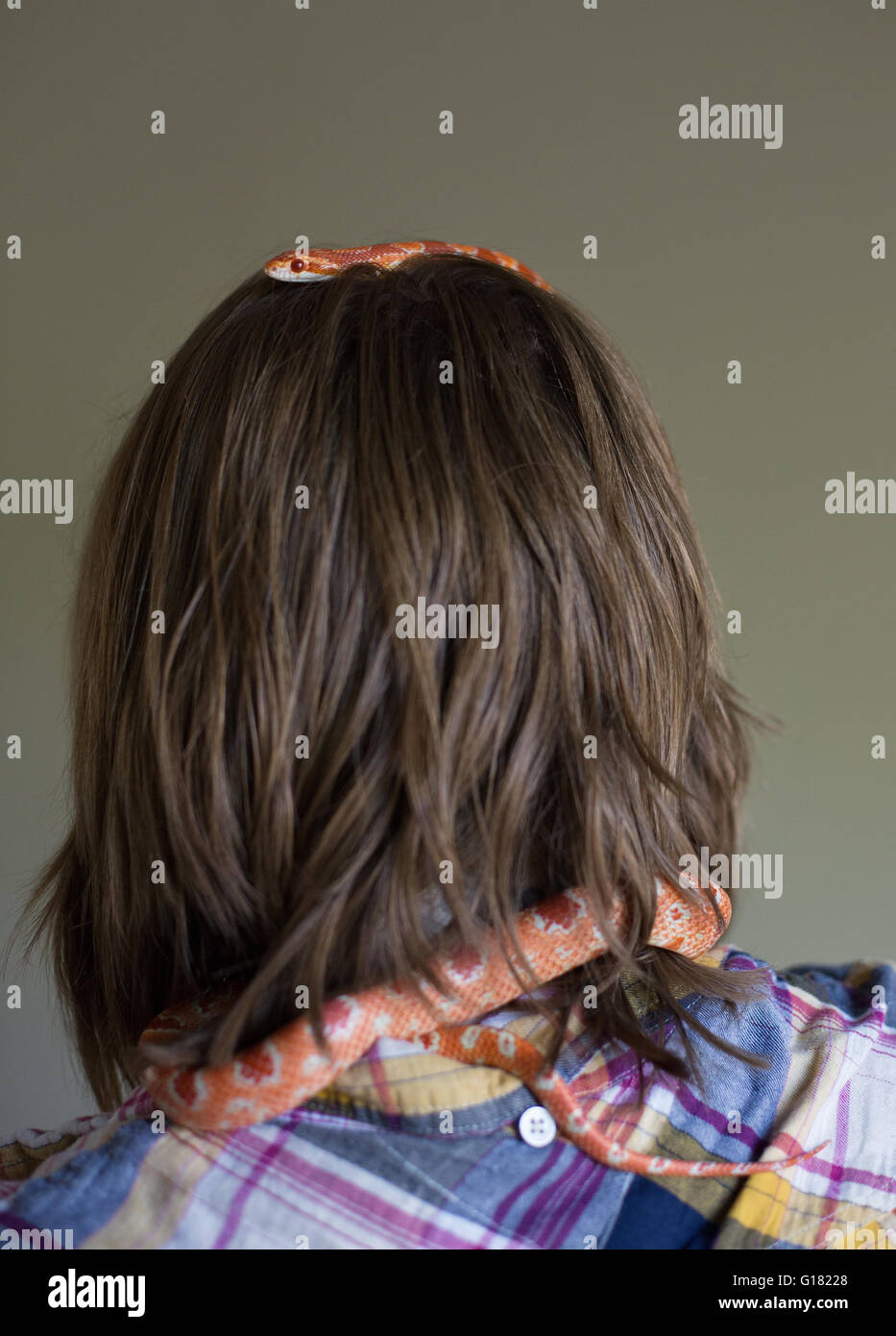 Snake wrapped around person hi-res stock photography and images - Alamy