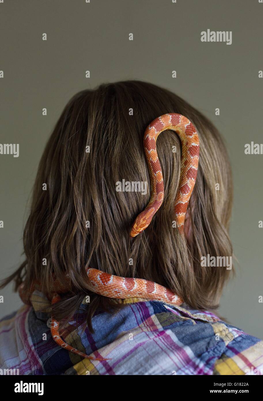 Person with a snake hi-res stock photography and images - Alamy