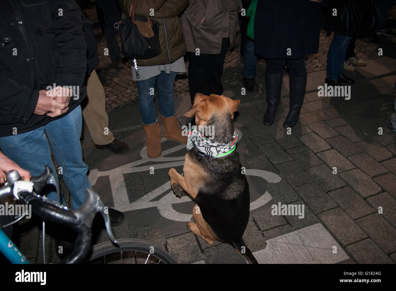 Dog People. Berlin, Germany Stock Photo - Alamy