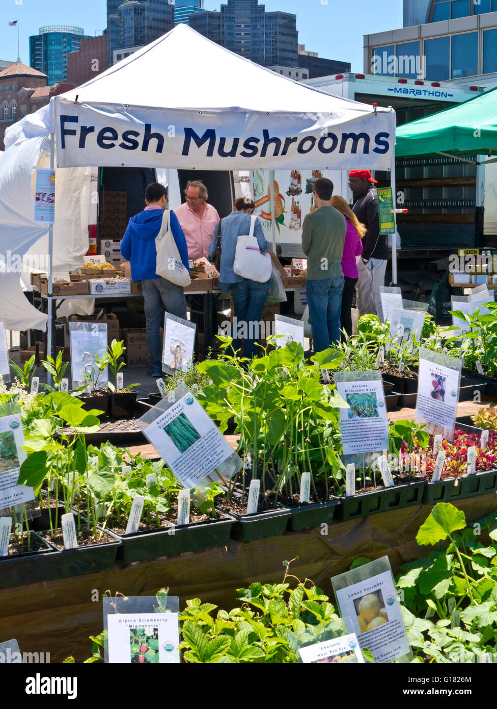 California display fruit veg flowers hi-res stock photography and ...