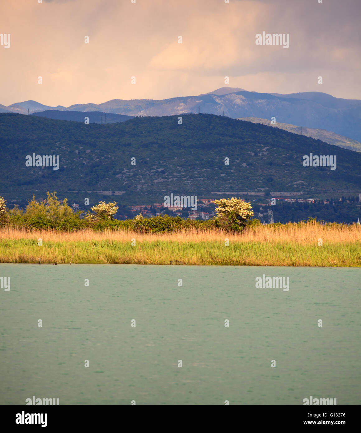 Nature reserve of the Isonzo river mouth Stock Photo - Alamy