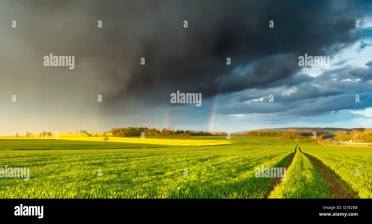 Double rainbow over grain field hi-res stock photography and images - Alamy
