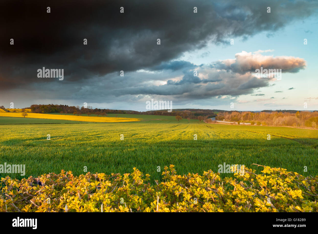 Dramatic Rainy Clouds over Green Fields, British Spring Landscape Stock ...