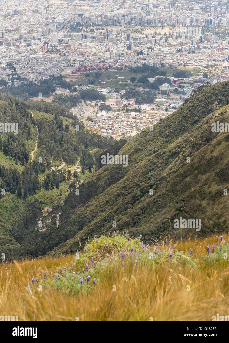 Andes range mountains landscape scene from the top of Cruz Loma hill ...
