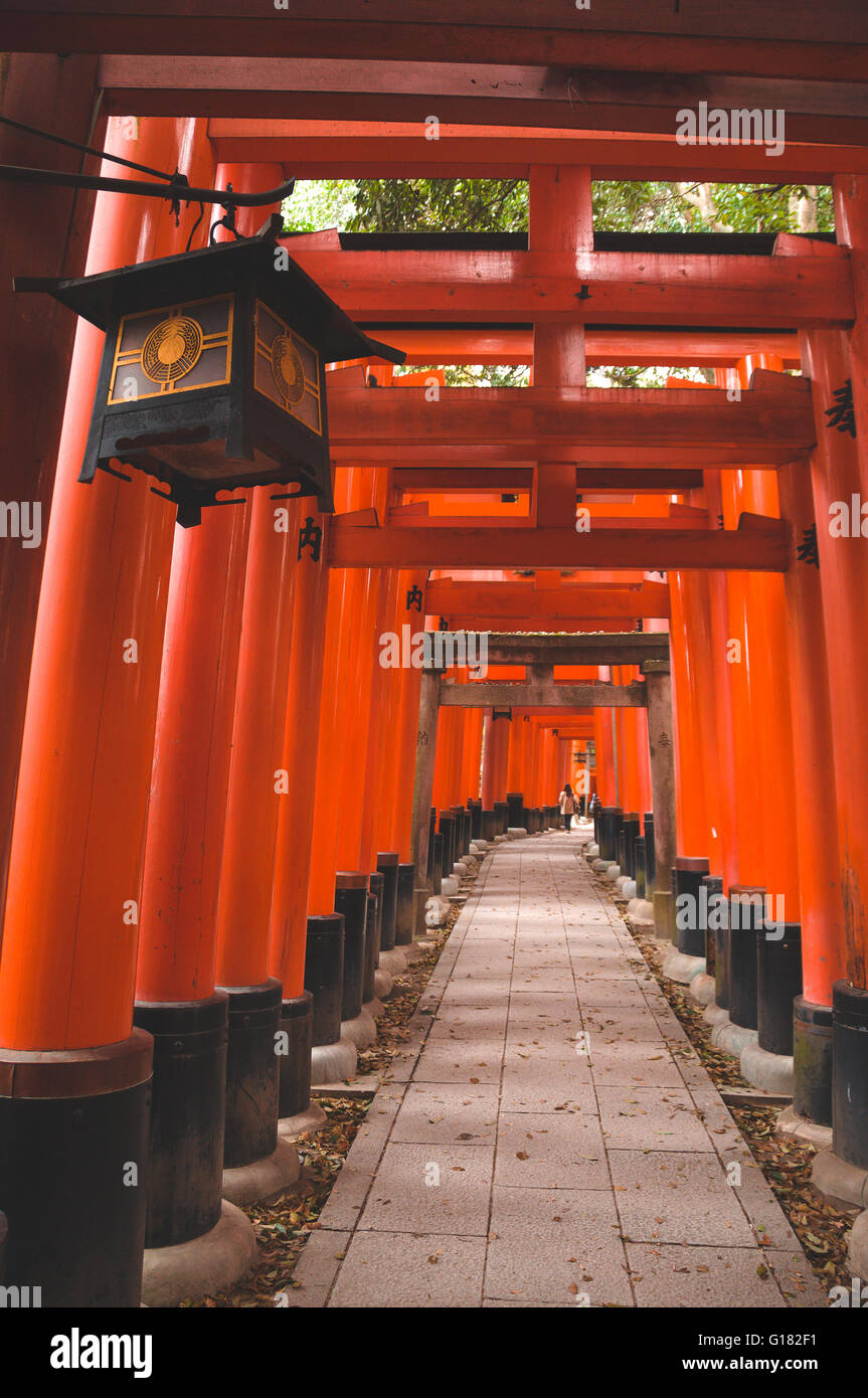 A Torii path at Fushimi Inari in Kyoto, Japan Stock Photo - Alamy