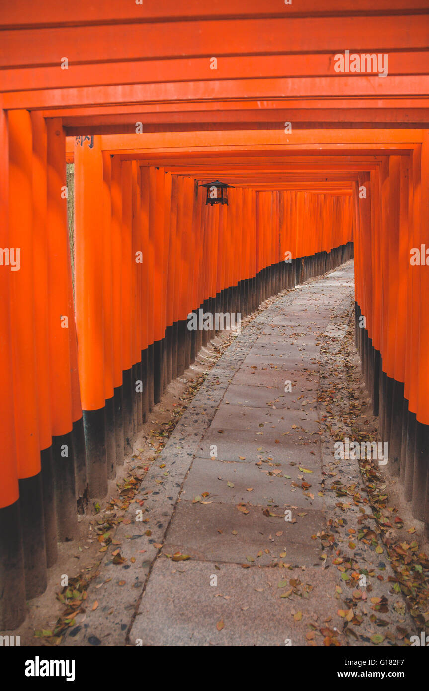 A Torii path at Fushimi Inari in Kyoto, Japan Stock Photo - Alamy