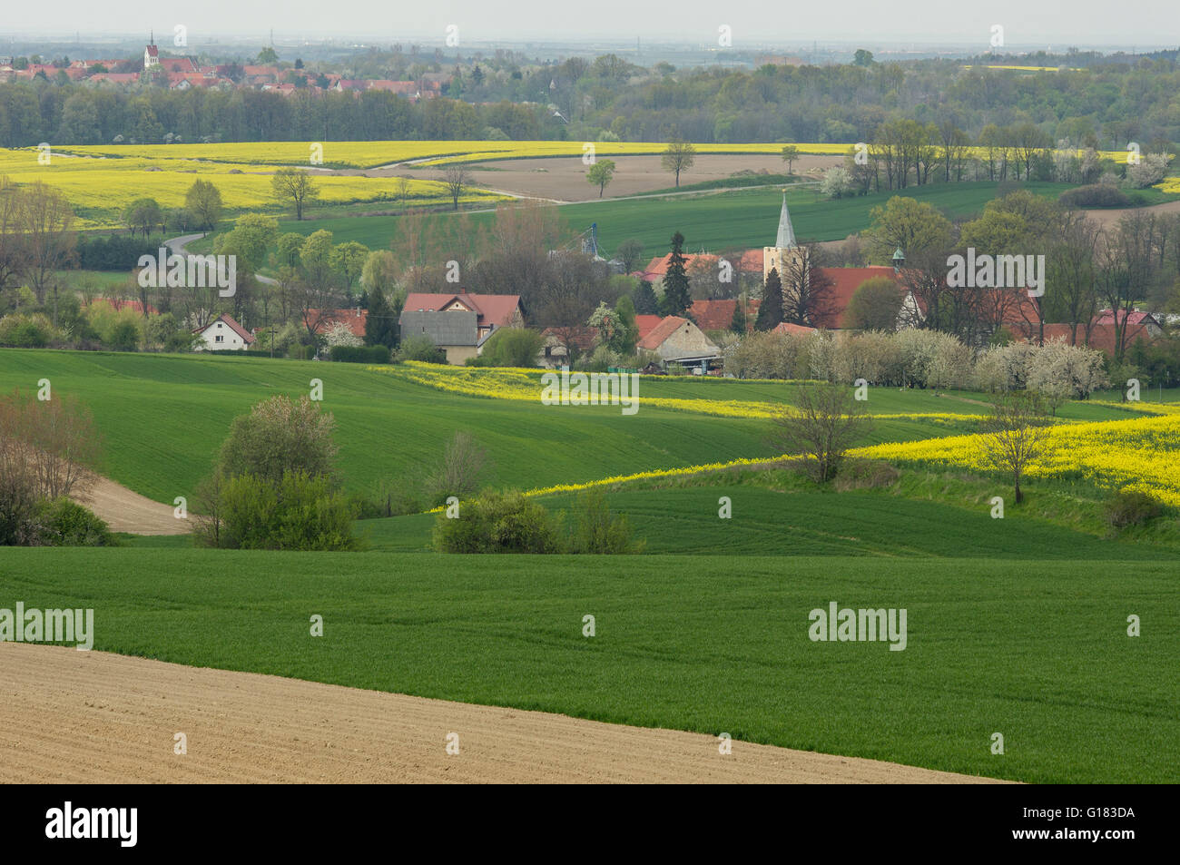 Village among hilly undulated germinating colorful spring fields Wiry ...