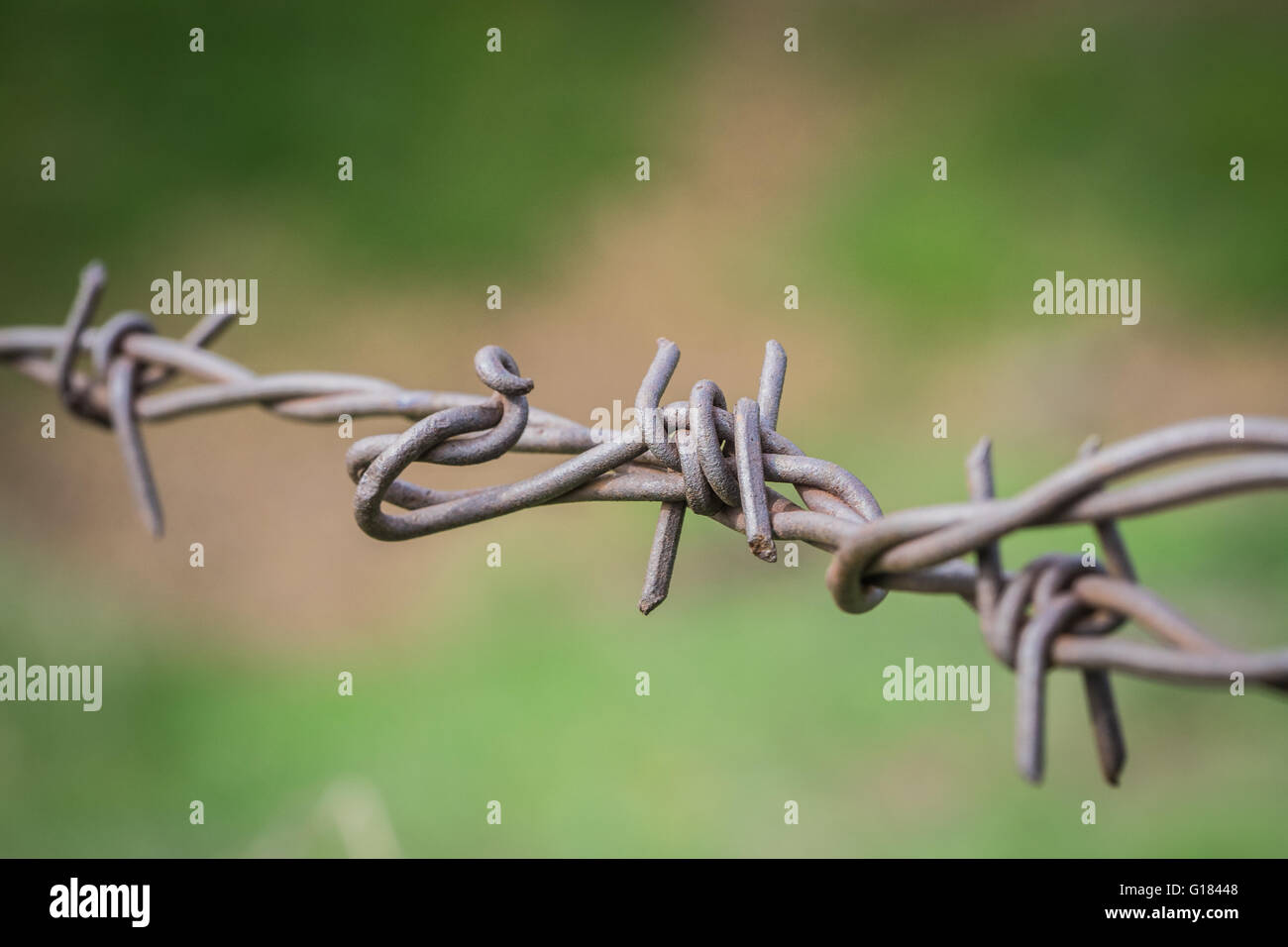 Tangled Fence Wire Stock Photos & Tangled Fence Wire Stock Images - Alamy