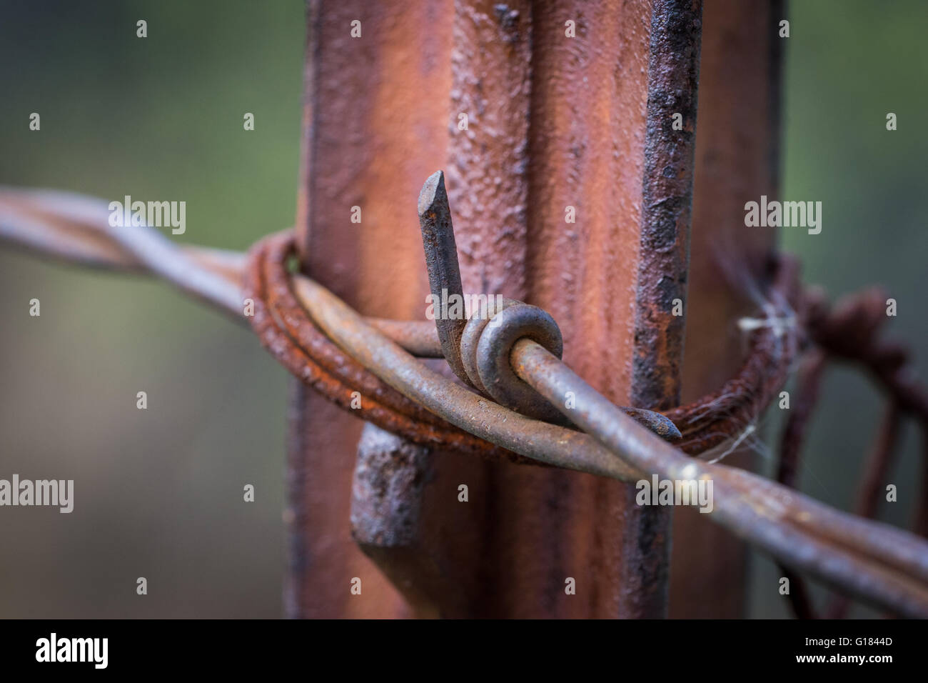 Metal barb on rusty fence post wrapped in wire Stock Photo - Alamy