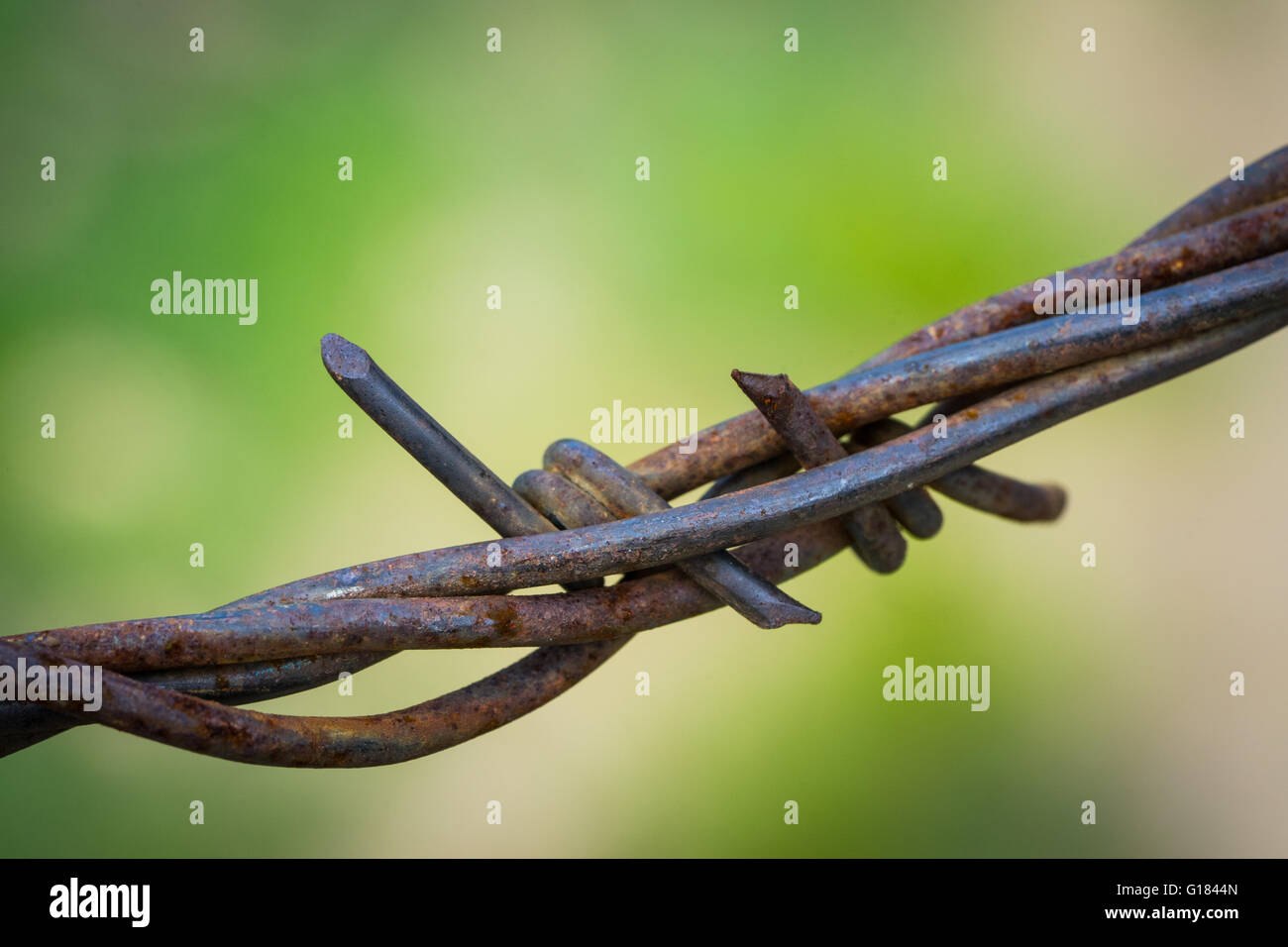 Wrapped metal strands of barbed wire fence Stock Photo - Alamy