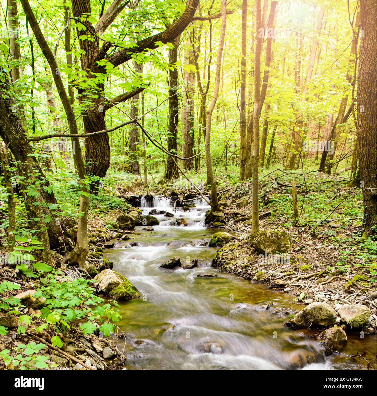 Zádielska valley hi-res stock photography and images - Alamy