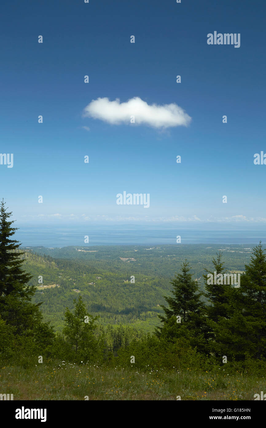 Elevated landscape with distant forests and blue sky, Olympic National ...