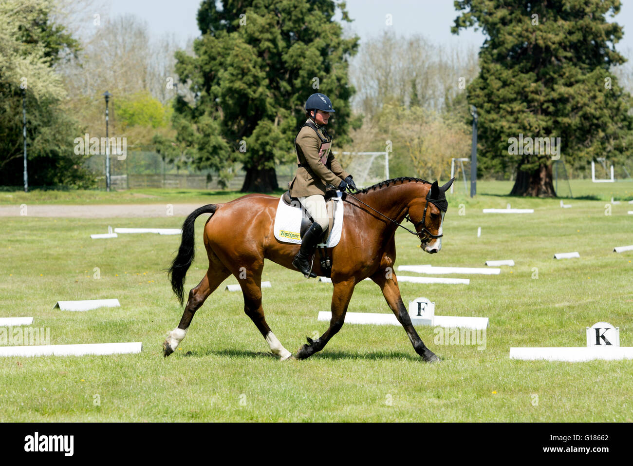 Dressage hi-res stock photography and images - Alamy