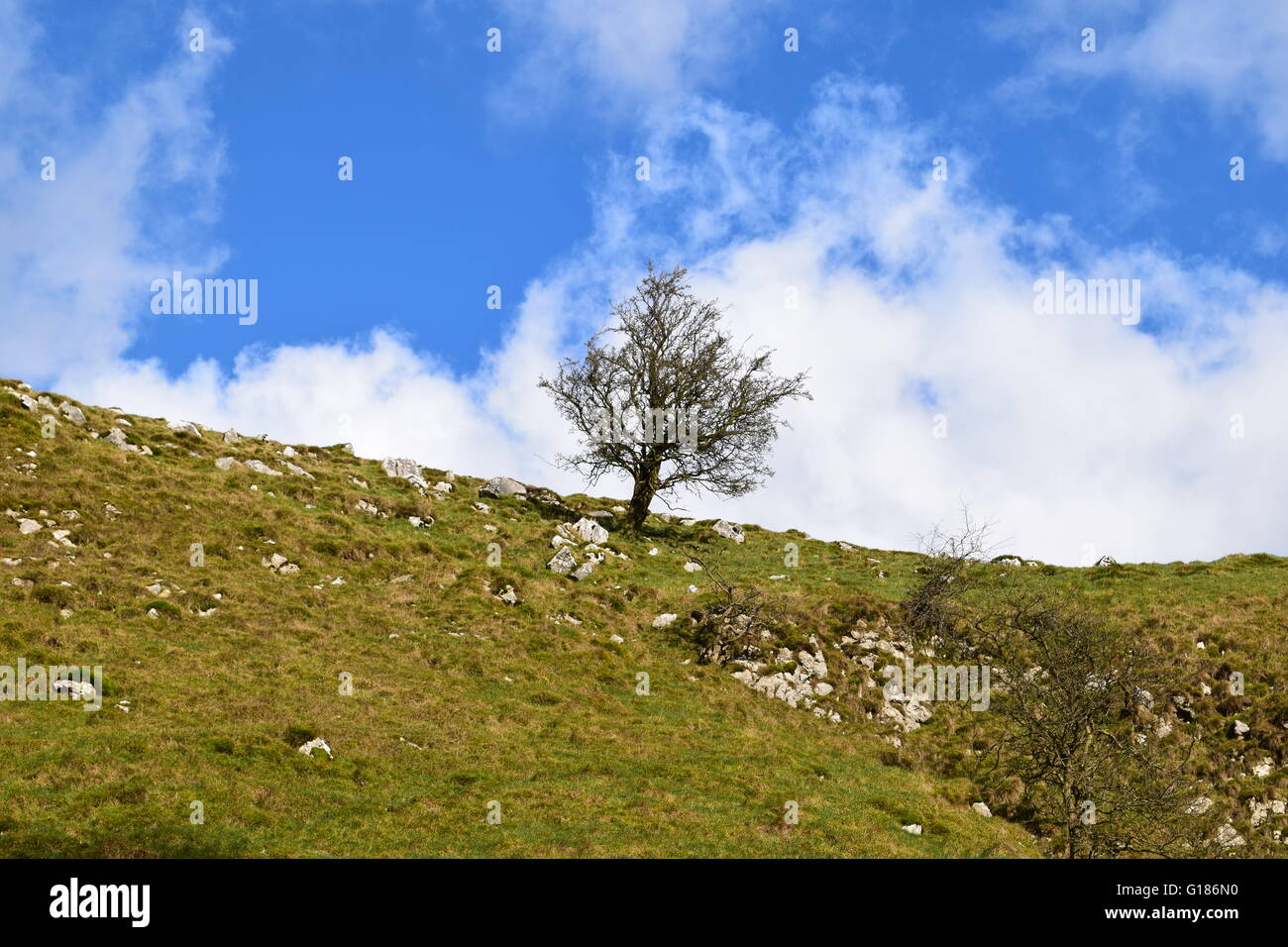 Independence and strength hi-res stock photography and images - Alamy