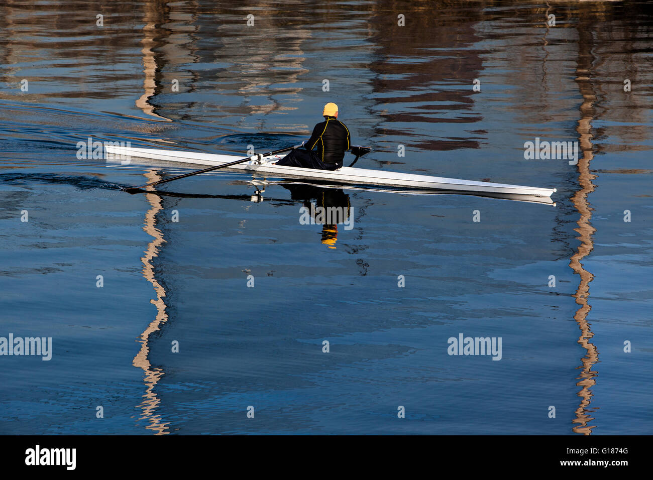 Morning rower in Toronto Canada Stock Photo - Alamy