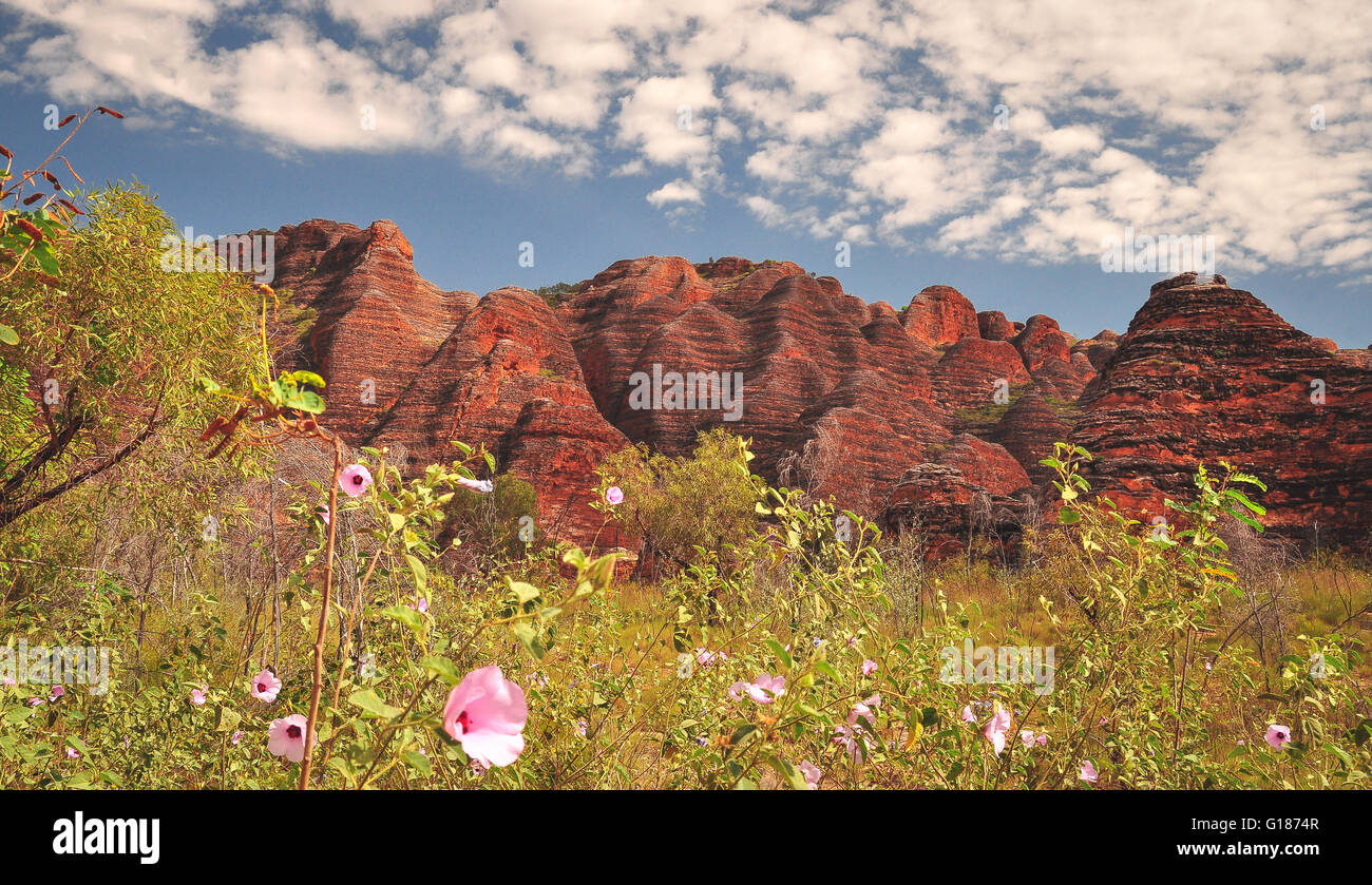 Bee Hive formations at the Bungle Bungles in Western Australia Stock ...
