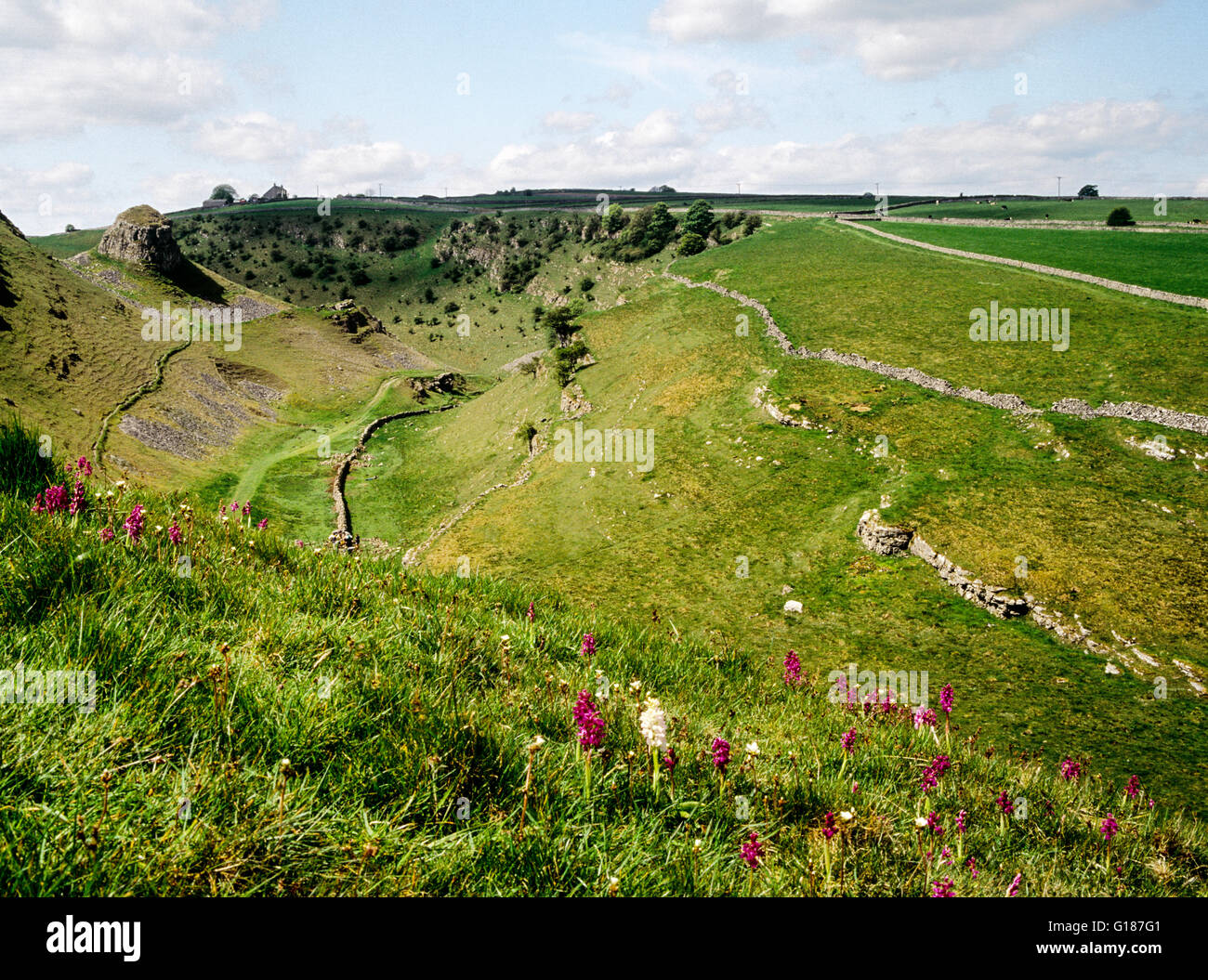 Cressbrook dale hi-res stock photography and images - Alamy