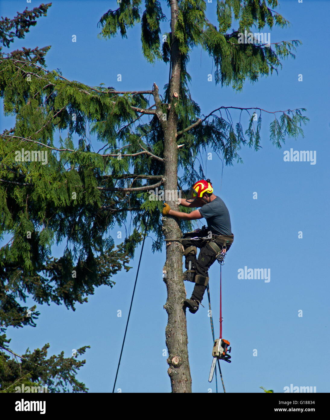 Faller hi-res stock photography and images - Alamy