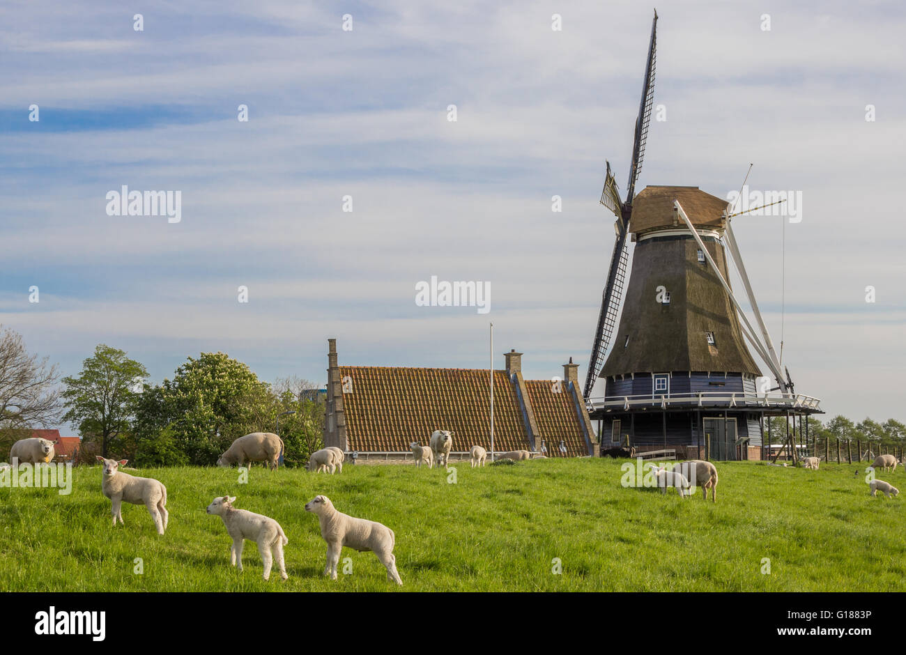 Dutch dike history hi-res stock photography and images - Alamy