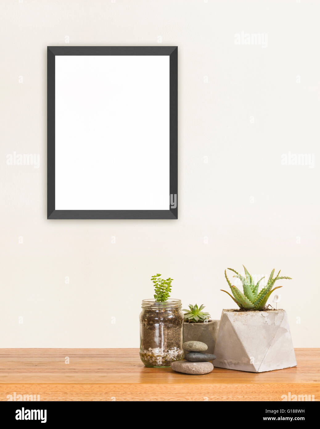 Succulent green plants stones and frame mockup Stock Photo - Alamy