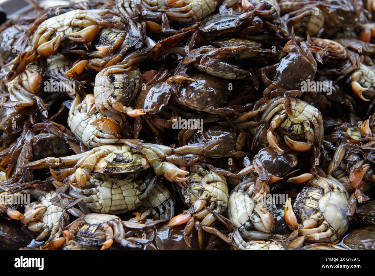 Grabs hi-res stock photography and images - Alamy