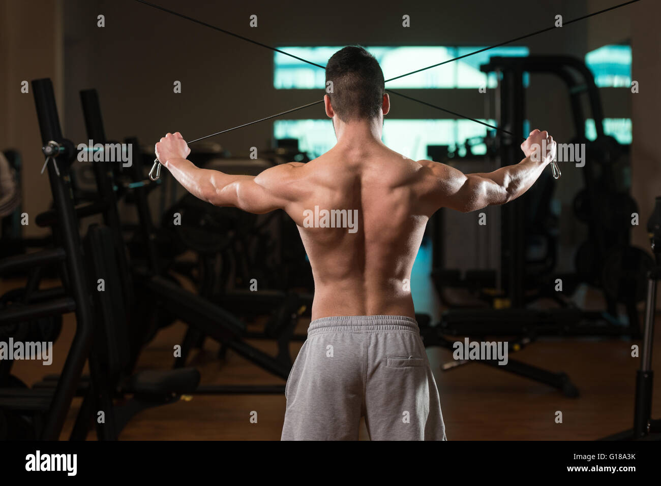 Back training weights on gym hi-res stock photography and images - Alamy