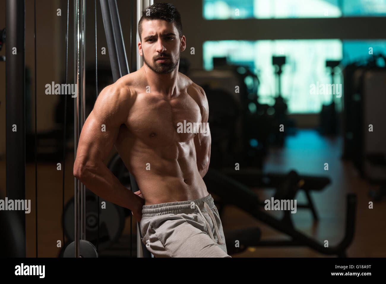 Resting Time - Confident Muscled Young Man Resting In Healthy Club Gym ...