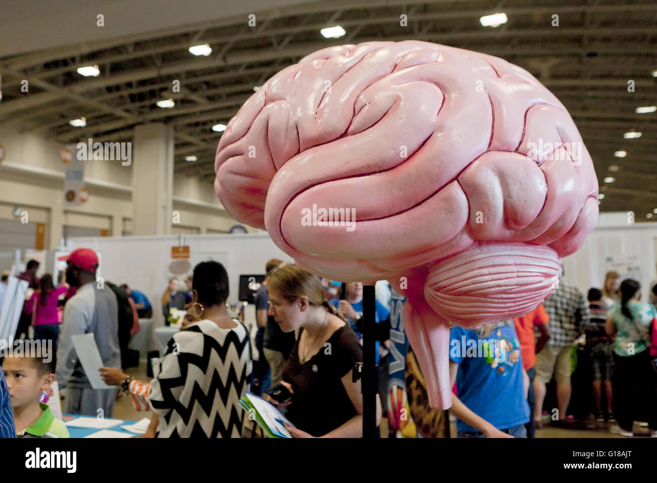 Learning model hi-res stock photography and images - Alamy