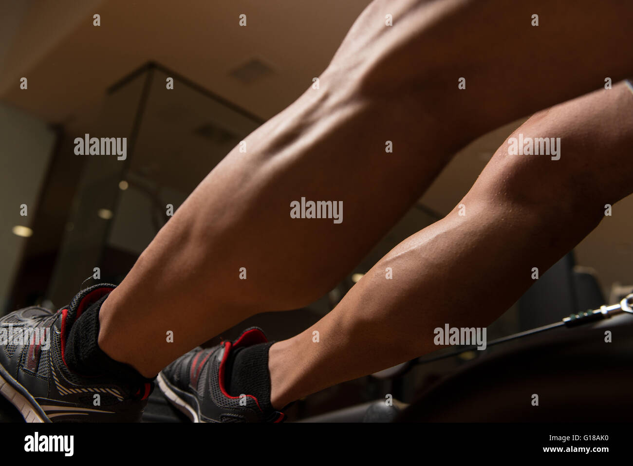 Bodybuilding Calf Muscles