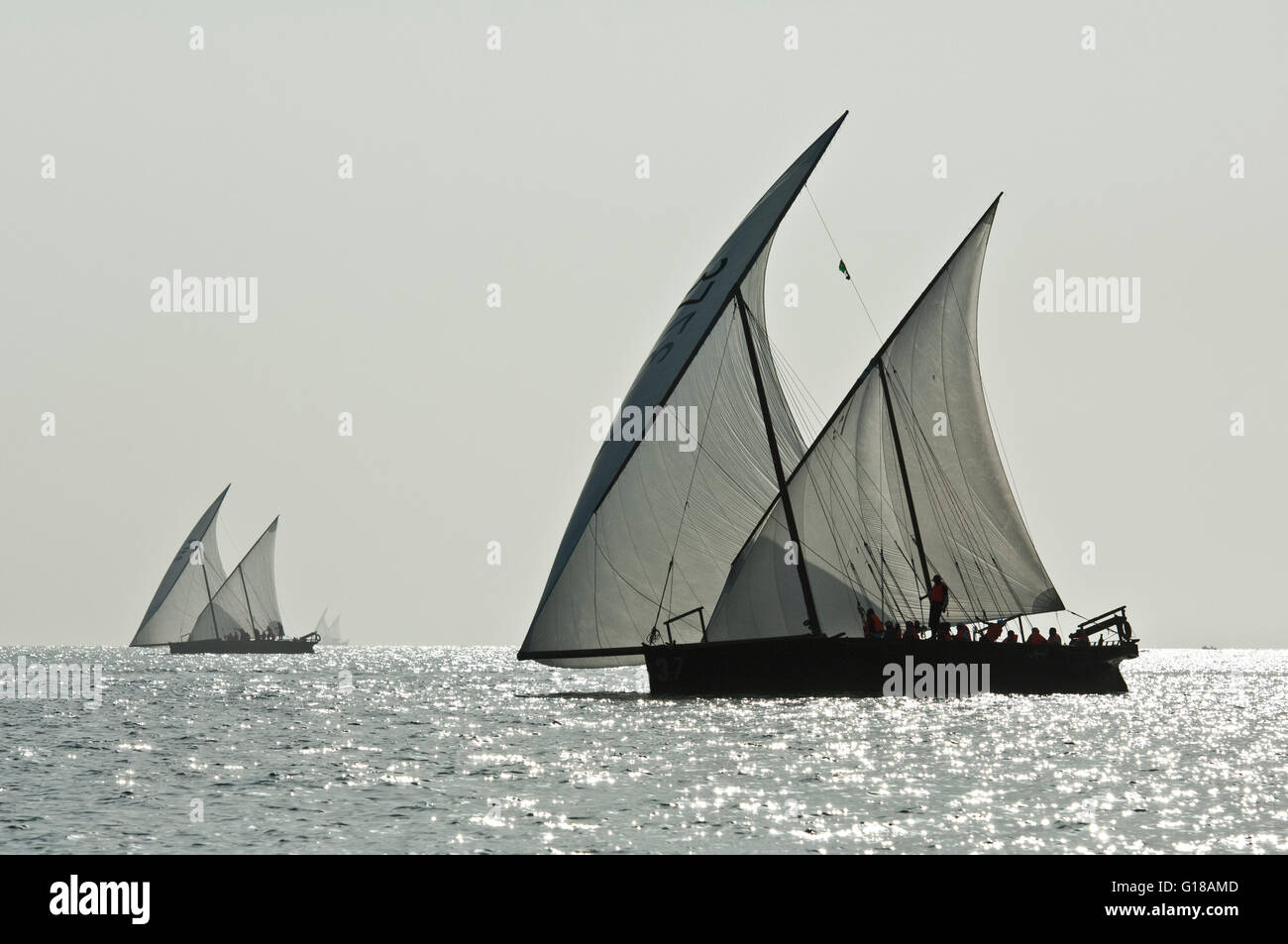 Dhow racing Abu Dhabi, United Arab Emirates Stock Photo - Alamy