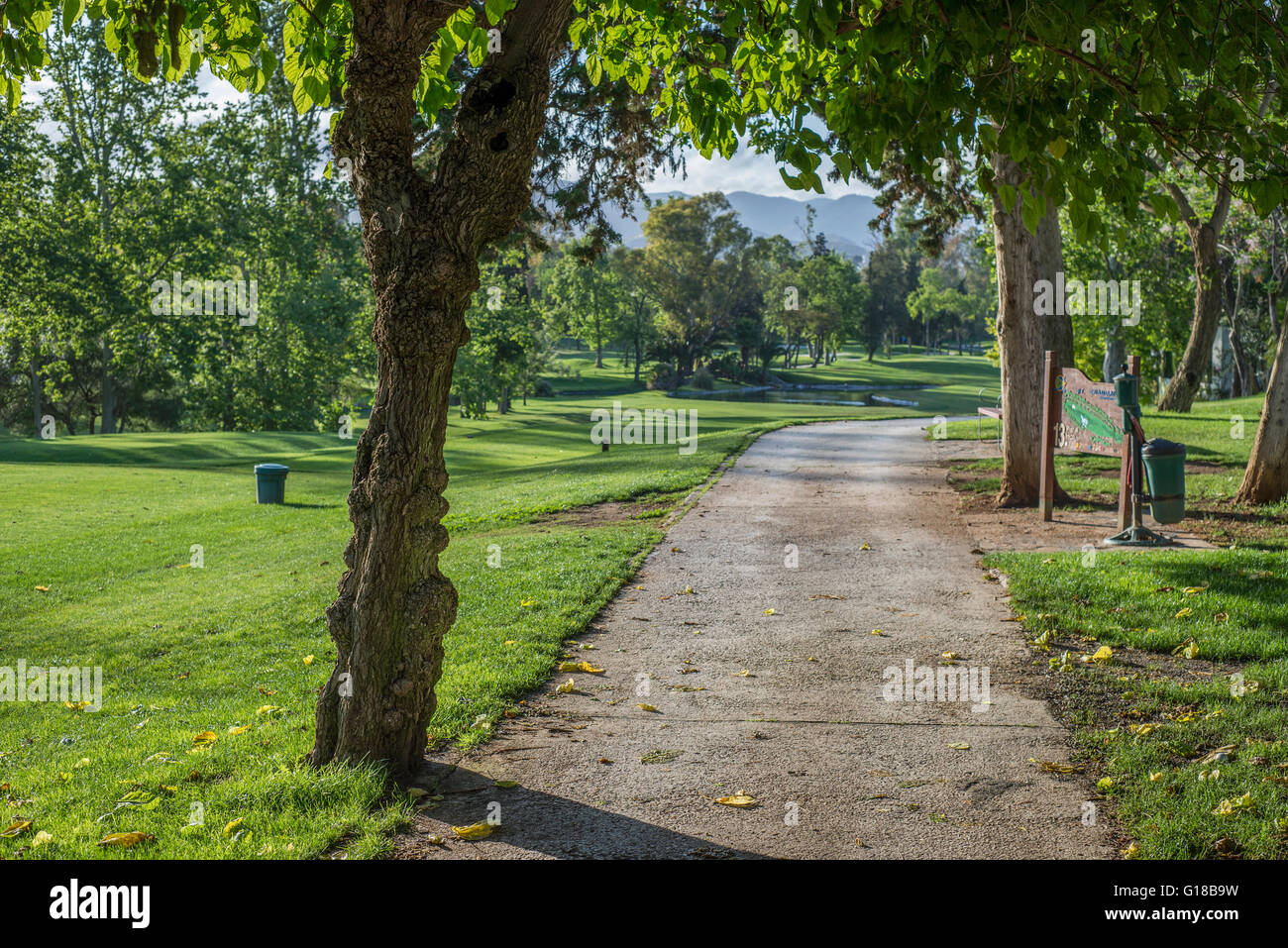 Golf course road and tree Stock Photo - Alamy